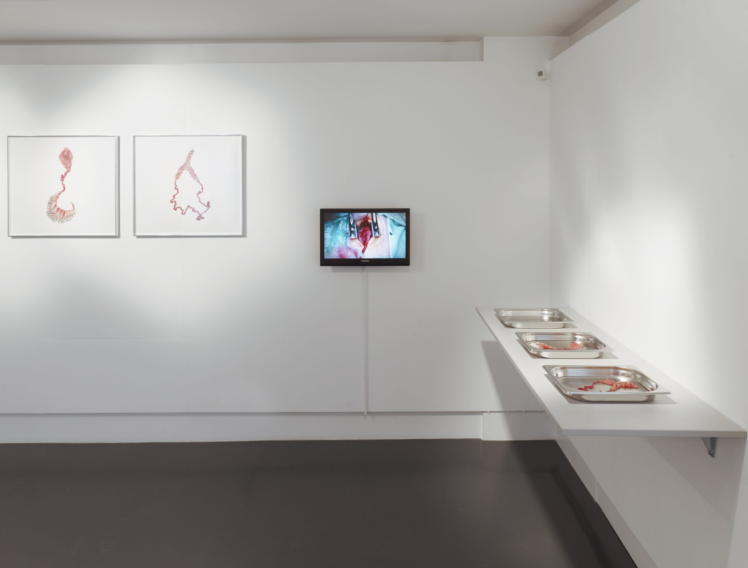 Mastering Design - mudac