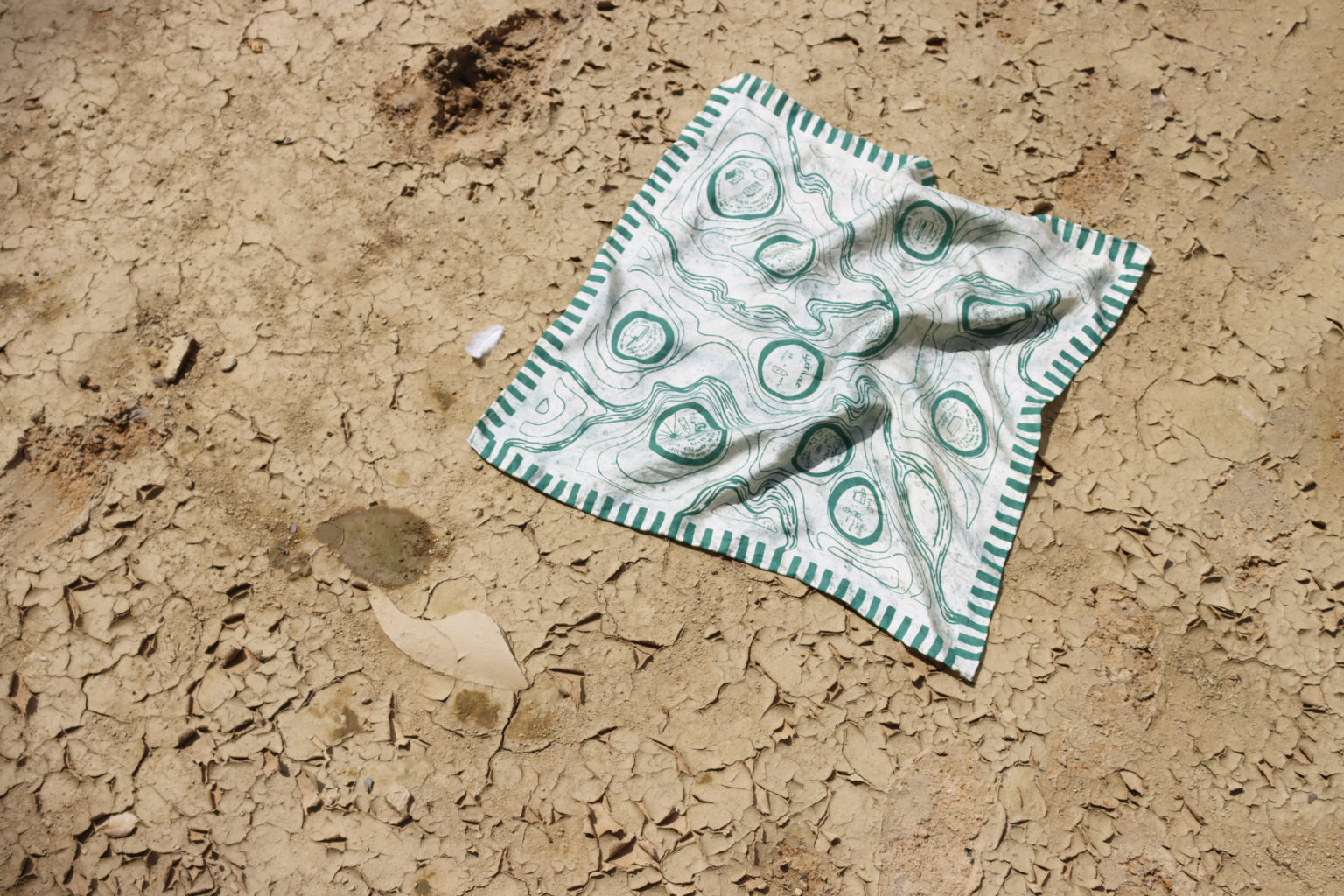 We Will Survive - mudac