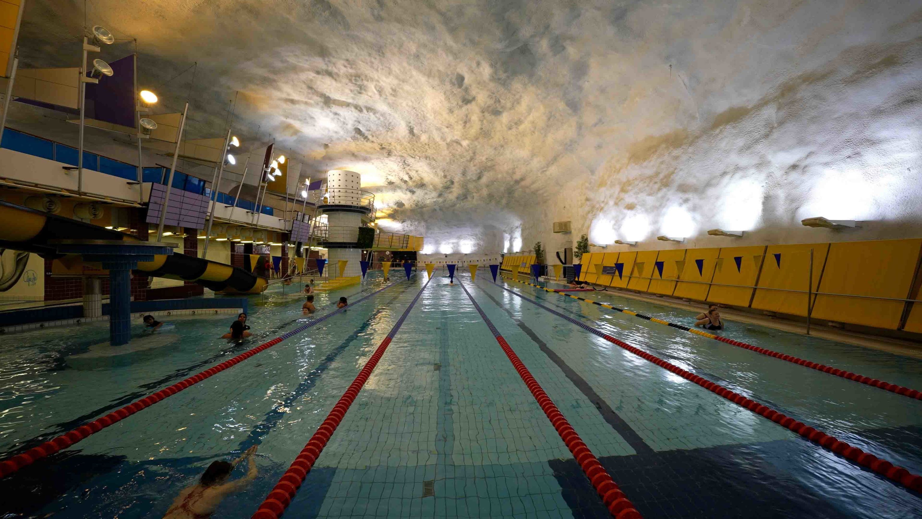 We Will Survive - mudac