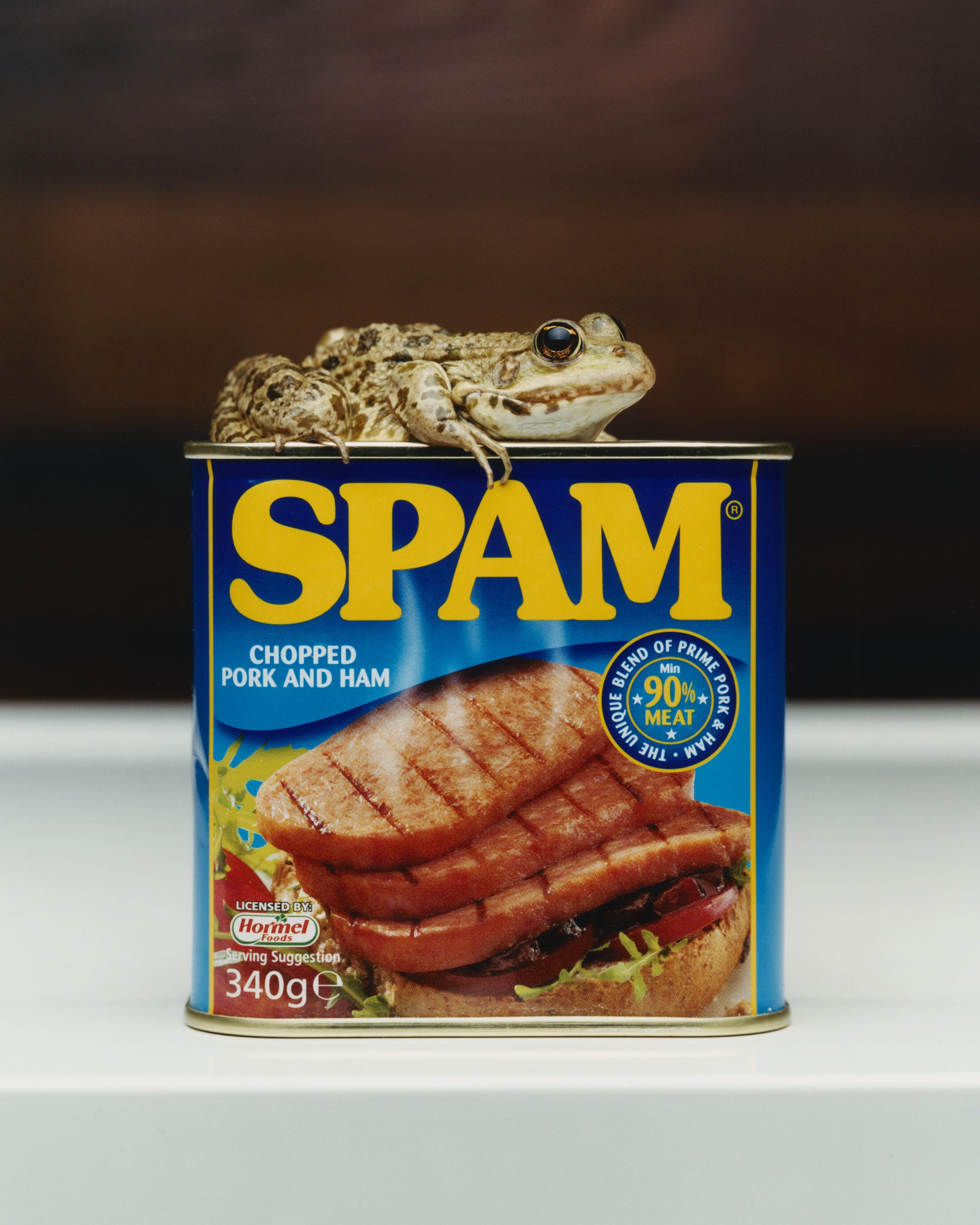 We Will Survive - mudac