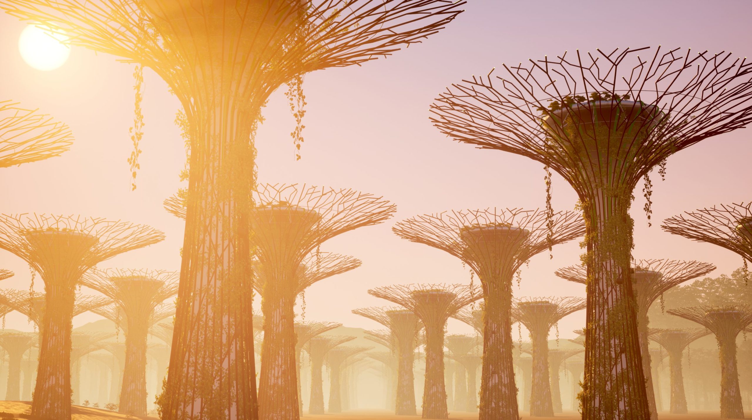 Staring at the Sun - mudac