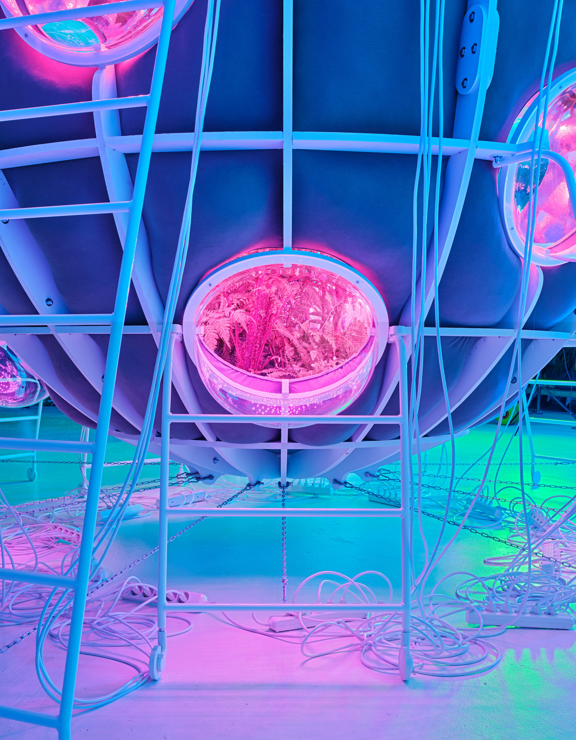 Fellaria's Time Capsule - mudac